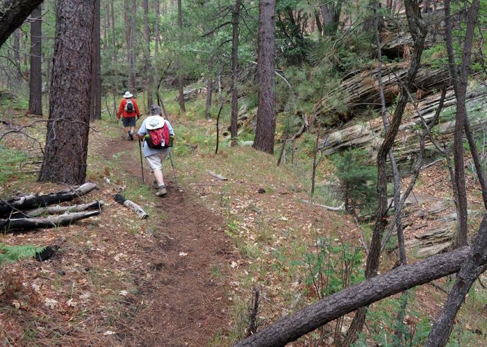 Pivot Rock: A shady hike on a hot day | Hiking & Trails | paysonroundup.com