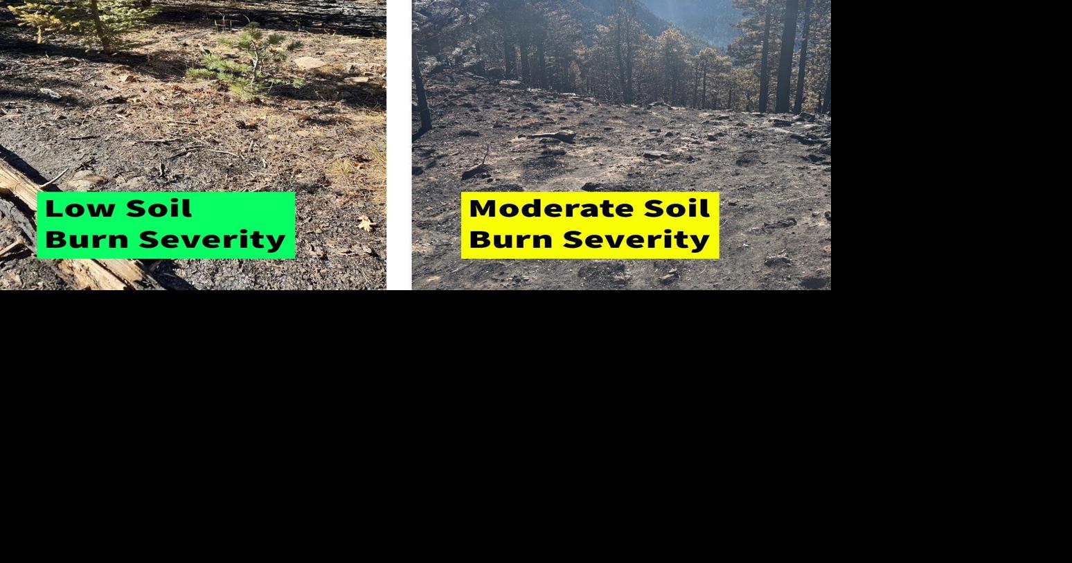 Risk of flooding, erosion after Horton Fire low, report finds | News ...