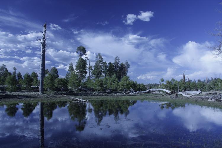 Mogollon Rim runs through history, climate of Northern Arizona | 260 ...