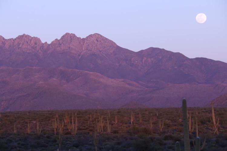 Tonto Forest overhauls plan | News | paysonroundup.com