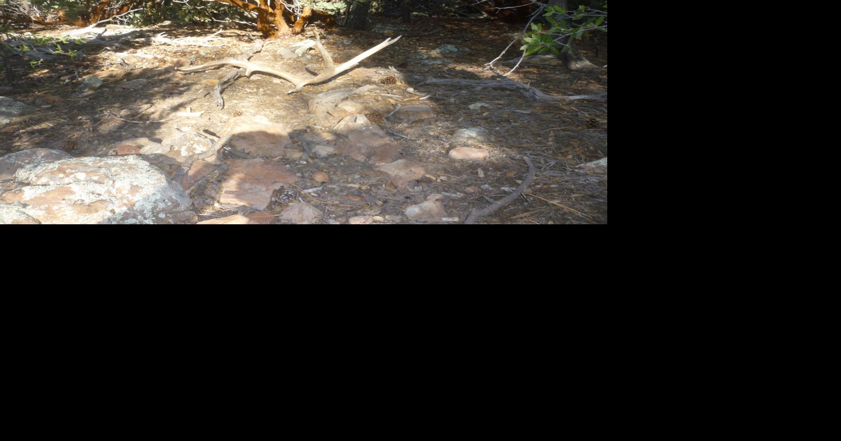 September a month of transition for outdoorsmen | Hunting & Fishing ...