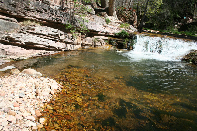 Apache trout make comeback | | paysonroundup.com