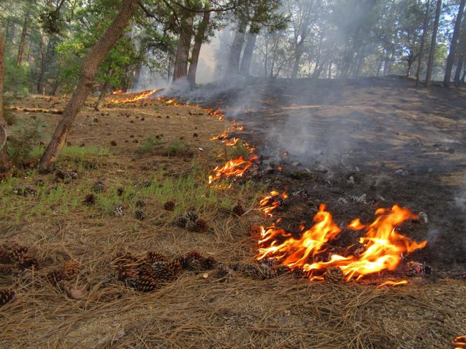 Weather helps crews manage wildfires | Local News | paysonroundup.com