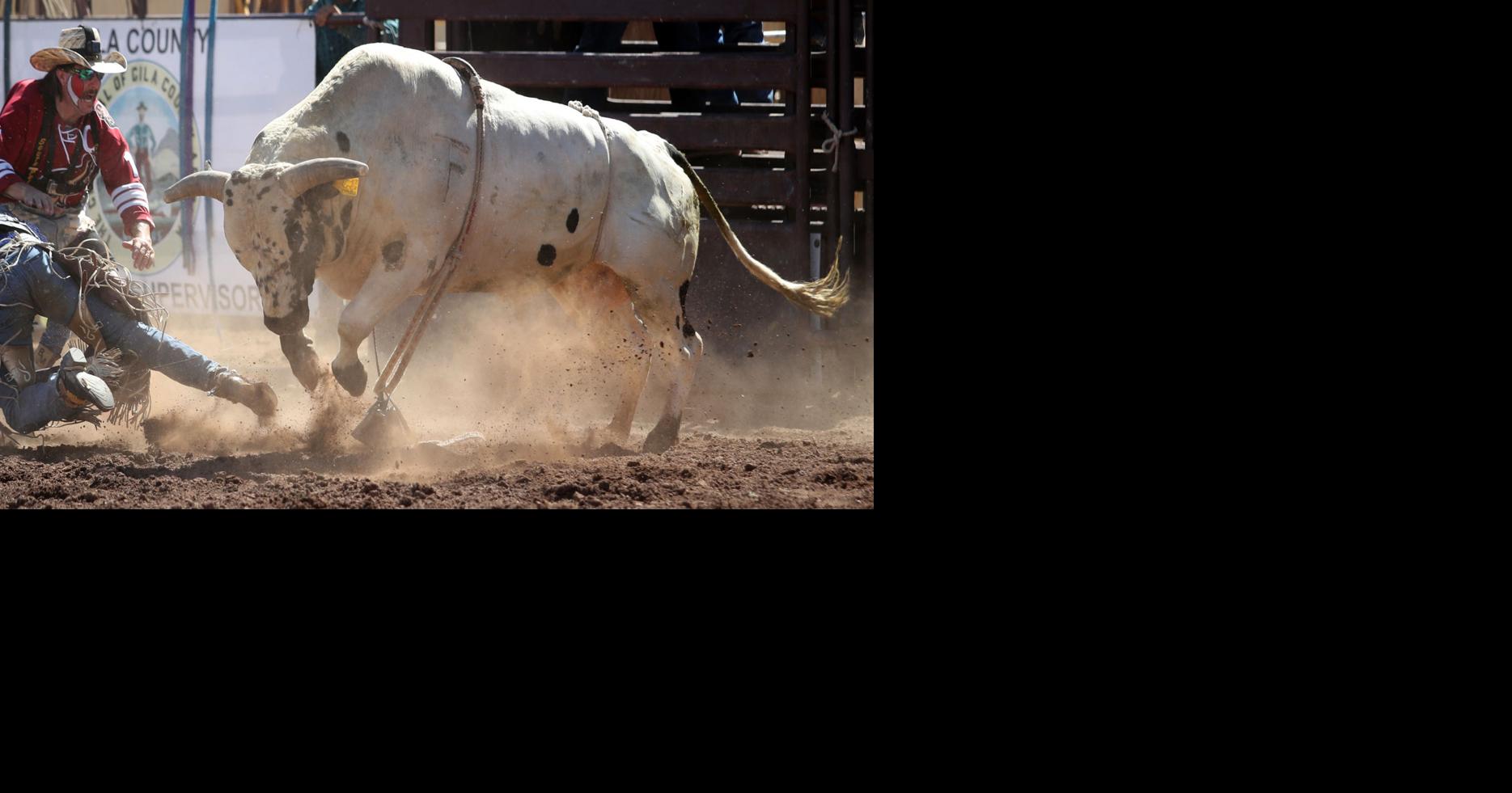 134th World's Oldest Continuous Rodeo | Photo Galleries | paysonroundup.com