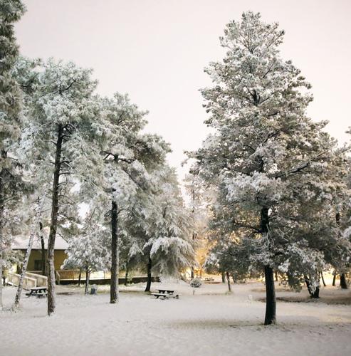 Payson Winter Photos by DJ Craig | Multimedia | paysonroundup.com