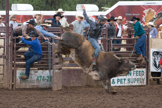 Rodeo upset: Bulls won this one | | paysonroundup.com