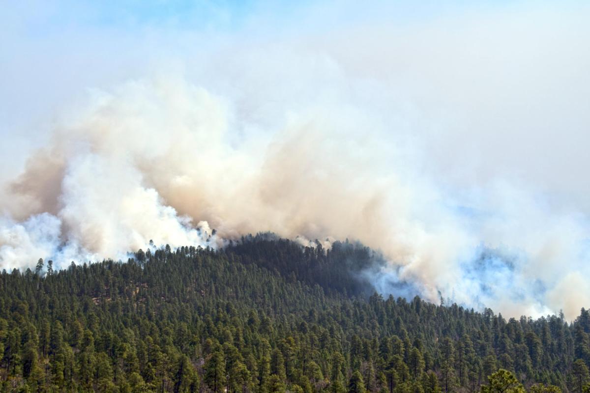 An illegal campfire started the Tinder Fire | Forest Management ...