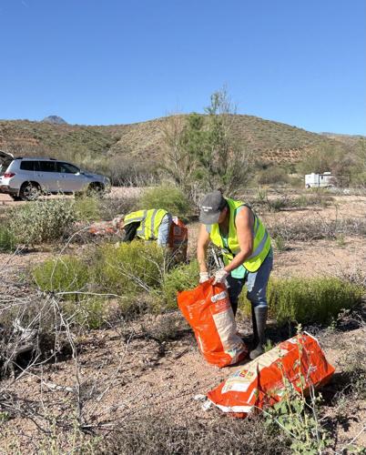 Volunteers battle spread of stinknet in Tonto Basin | News ...