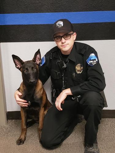 Payson police has working drug dog again | Crime Law Enforcement | paysonroundup.com