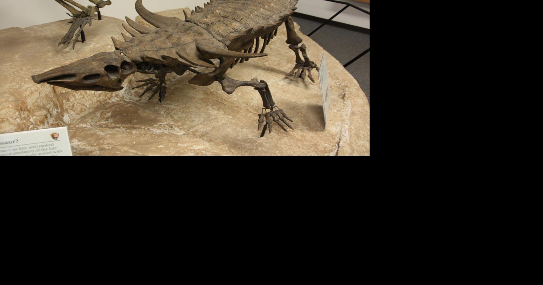 Looking for the last aetosaur | 260 Connection | paysonroundup.com