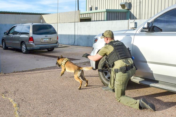 When in doubt, surrender | Crime Law Enforcement | paysonroundup.com