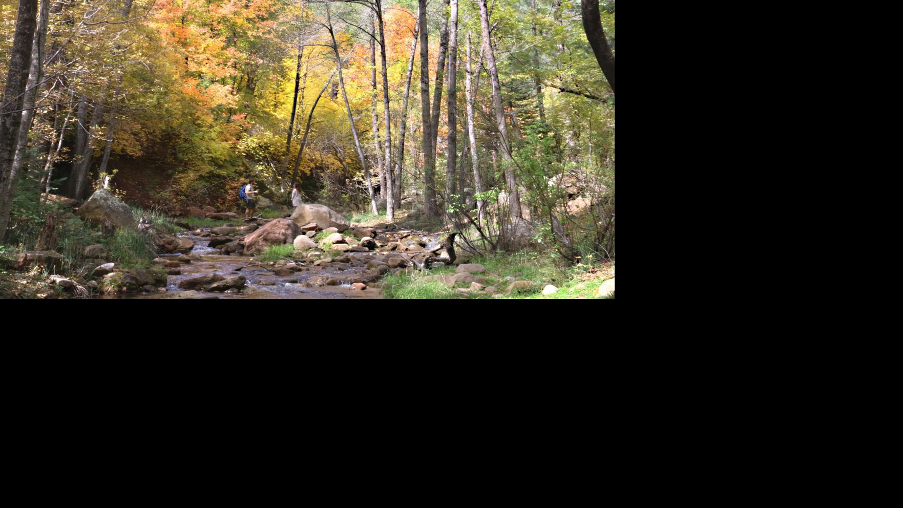 paysonroundup.com | The Rim Country's News and Information Source