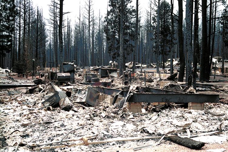 Rodeo-Chediski Burned Out | Catastrophe A Forest In Flames ...