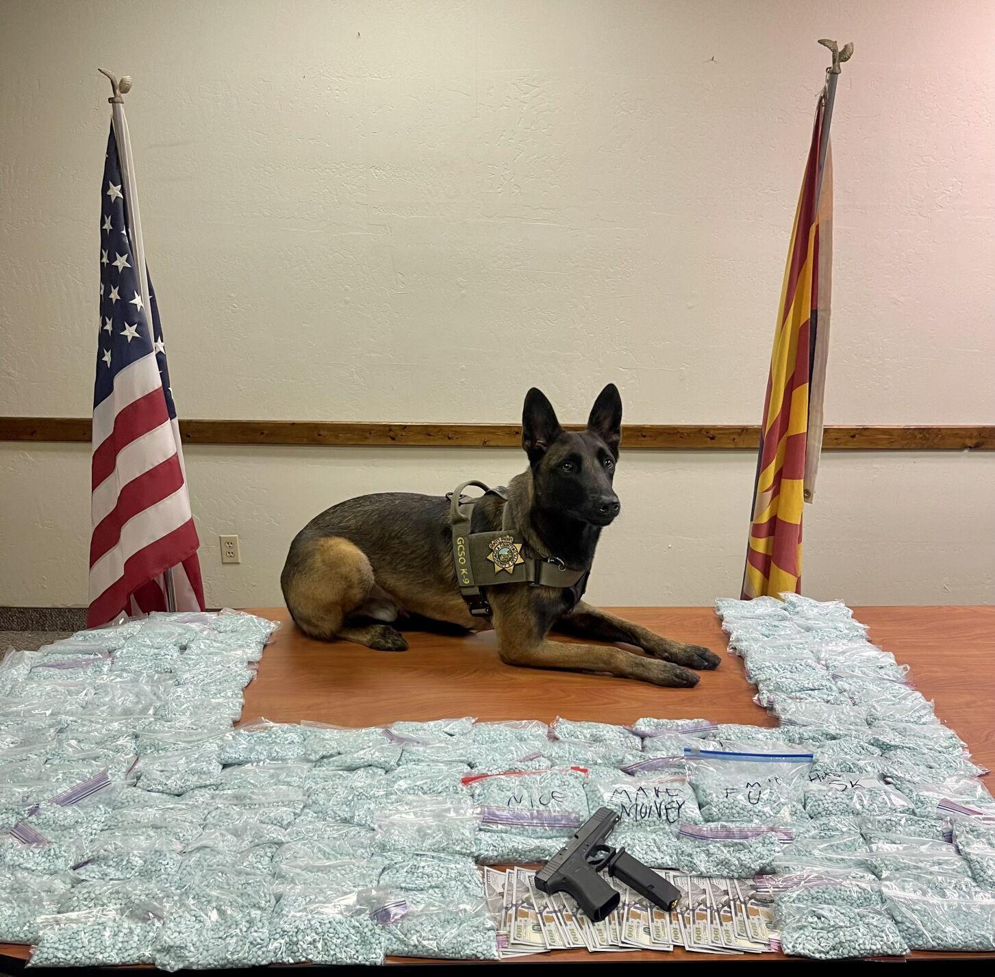 K9 helps locate $4 million in drugs | Crime Law Enforcement ...