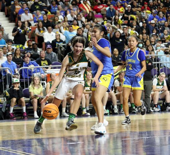 Show Low girls basketball team opens with tourney title, high ...