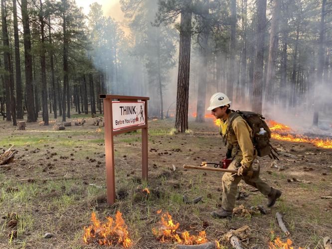 Wildfires mostly contained as weather settles down | Forest Closures ...