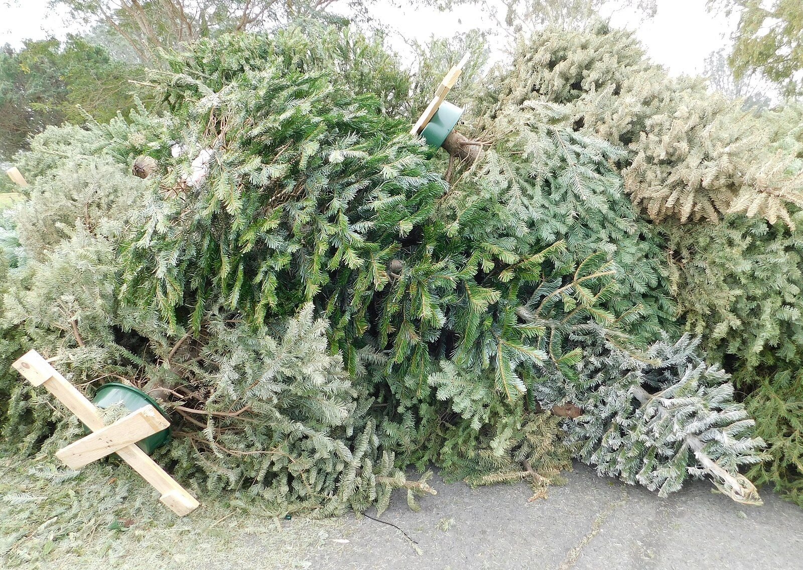 Christmas tree drop-off closed due to misuse | News | paysonroundup.com