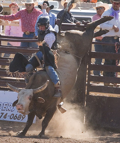 125th Rodeo draws big crowds | | paysonroundup.com