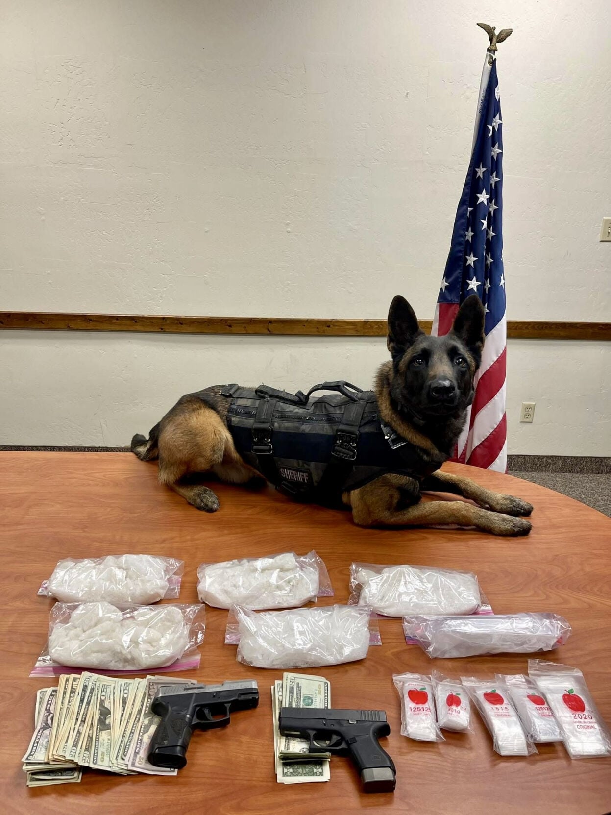 Gila County sheriff's K9 helps deputies seize five pounds of drugs ...