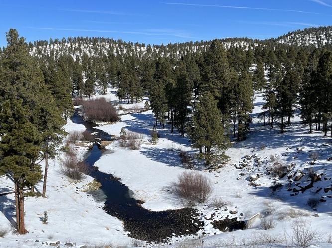 Finding my inner Viking on cross-country skis | Outdoors ...