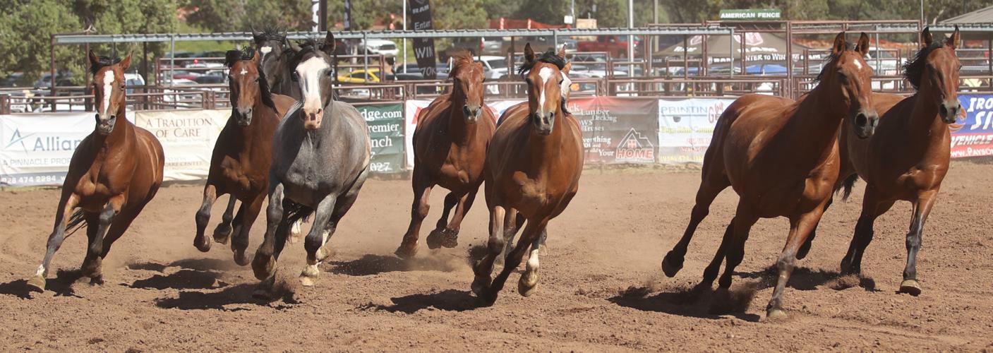 Payson event center has got good dirt | Local News | paysonroundup.com