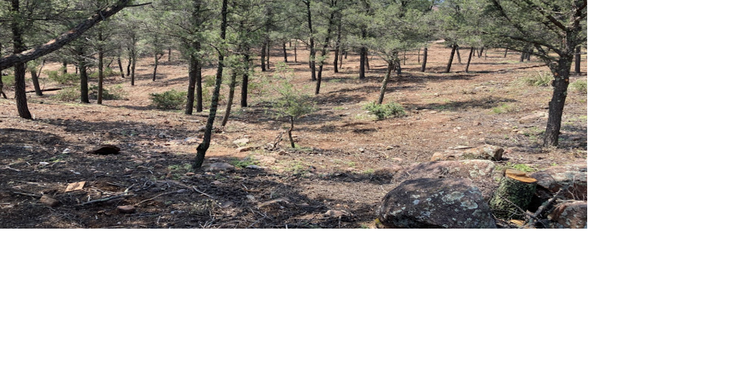 Payson urged to prepare for fire season | News | paysonroundup.com