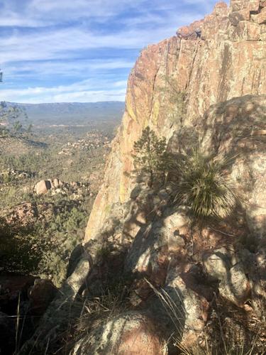 Christmas tree hike: Heading out to the Granite Dells | Hiking & Trails ...