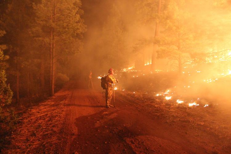 Chapter 30 - They can’t save us | Catastrophe A Forest In Flames ...