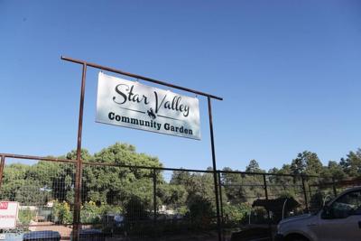 Star Valley provides garden plots for fresh food donations | News ...