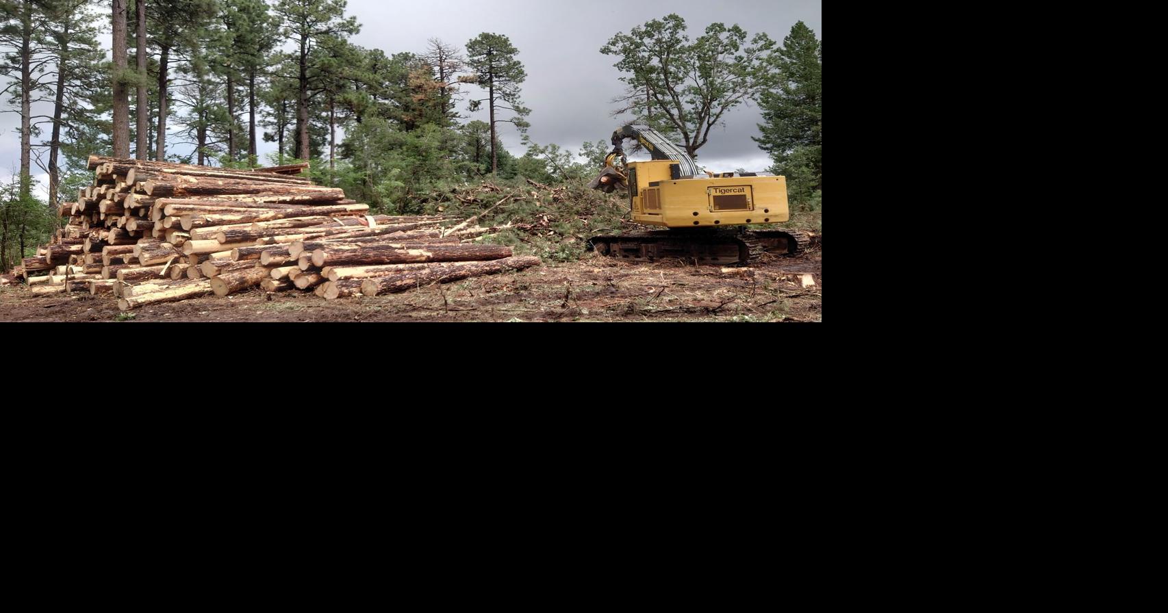 Federal government seeks to bolster rural wood products industry | News ...