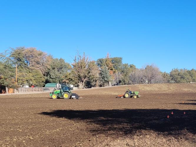 Town reseeding grass in Green Valley Park | Local News | paysonroundup.com
