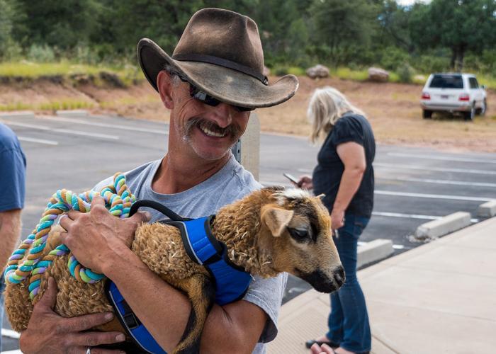St. Paul's Blessing of the Animals | Events | paysonroundup.com