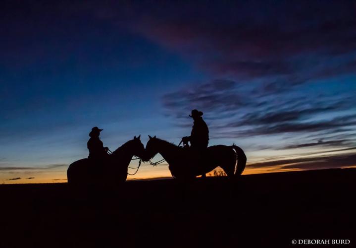 Hashknife rides on | Payson | paysonroundup.com