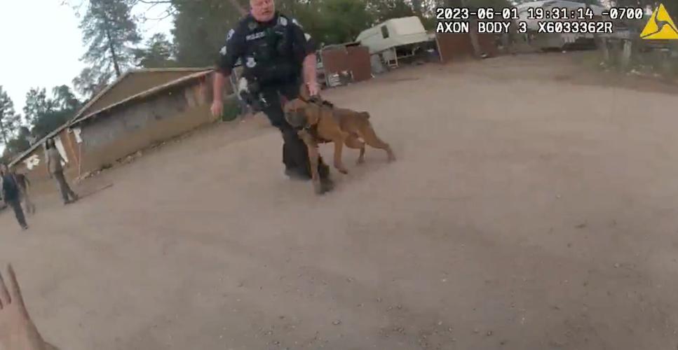 police k9 attacks