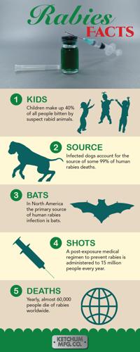 Rabies cases on the rise | News | paysonroundup.com