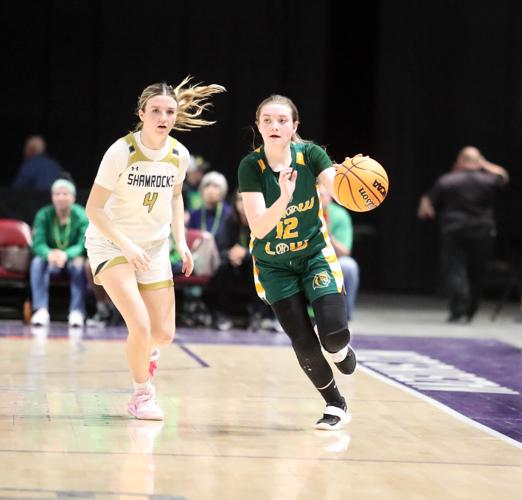Six Show Low girls recognized on All-3A East team | 260 Connection ...