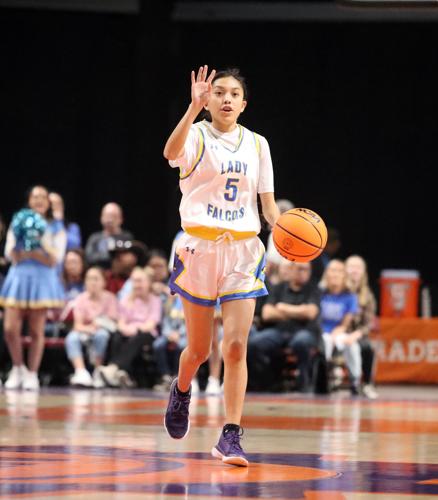 Alchesay starts strong in bid to claim 3rd consecutive girls basketball ...