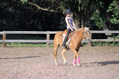 Home-schoolers now eligible for free horse riding lessons | News ...
