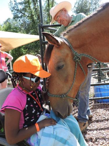 Local nonprofits see $7k in donations from AZ Gives Day | Local News ...