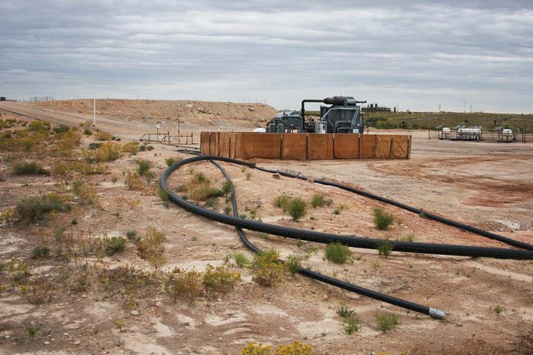 Threatened plants on state lands have few protections | Wildlife ...