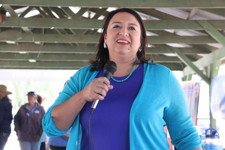 Challenger puts attorney general on the defensive | News ...