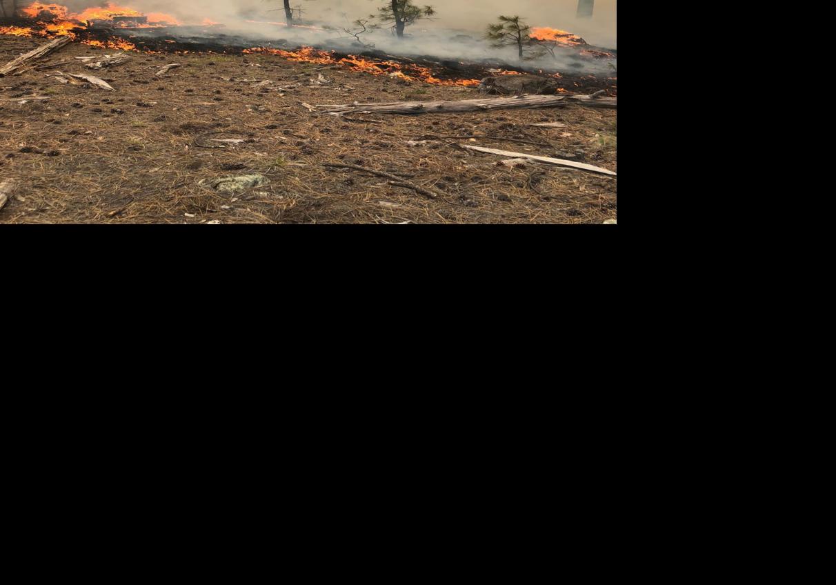 Arizona fires burning this week | Local News | paysonroundup.com