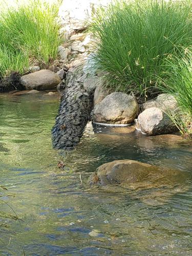 Tonto National Forest reopens and fishing skinny water | Local News ...