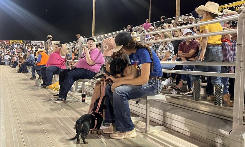 Ready to rodeo, even at 3-years old | Local News | paysonroundup.com