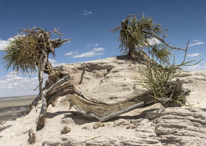 Painted Desert’s color scheme comes down to rust & rocks | Features ...