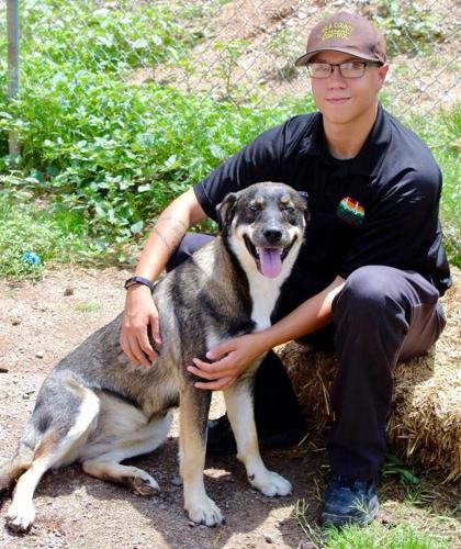 Applause For Gila County Animal Control Officers Gila County applause-for-gila-county-animal-control-officers-gila-county