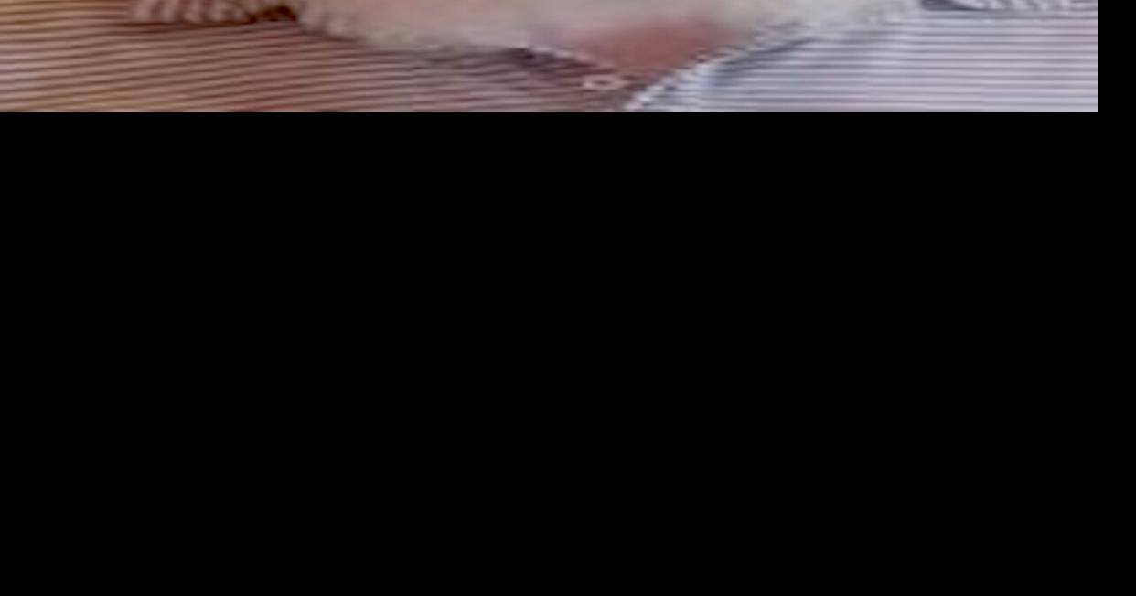 Charles F. Bates | Local News | pdclarion.com