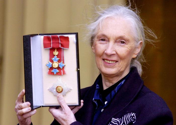 PETA names Jane Goodall ‘person of the year’ for 2025 | National ...