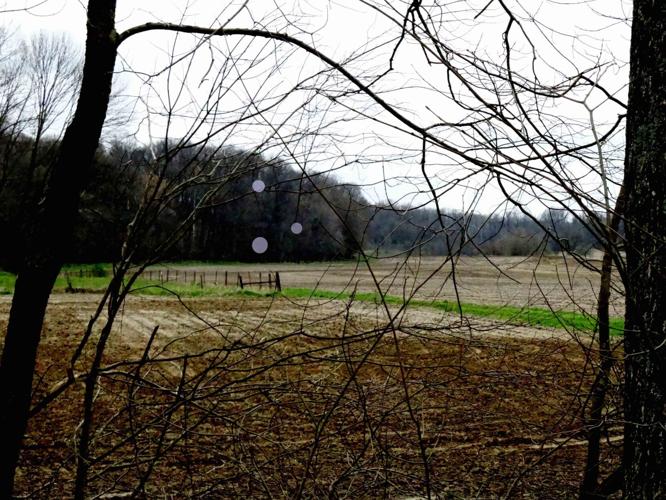 KIesel explores UFOs in July library programs | Community | pdclarion.com