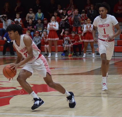 Tiger basketball falls in Sectional title game | Sports | pdclarion.com